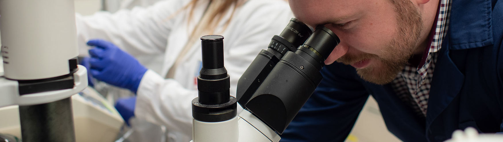 MEDSCHOOL, MEM, Research